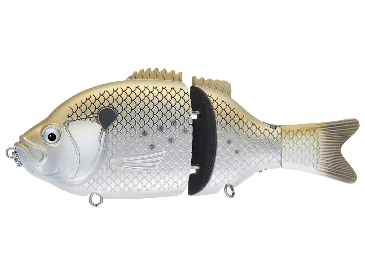Baitsanity Explorer Gill Glide Bait – Harpeth River Outfitters