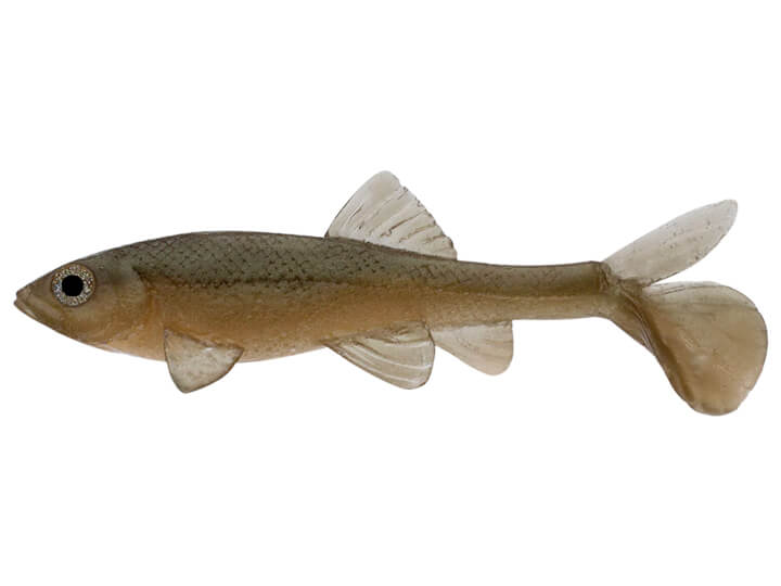 Little Creeper All American Trash Fish Swimbait 6" – Harpeth River ...