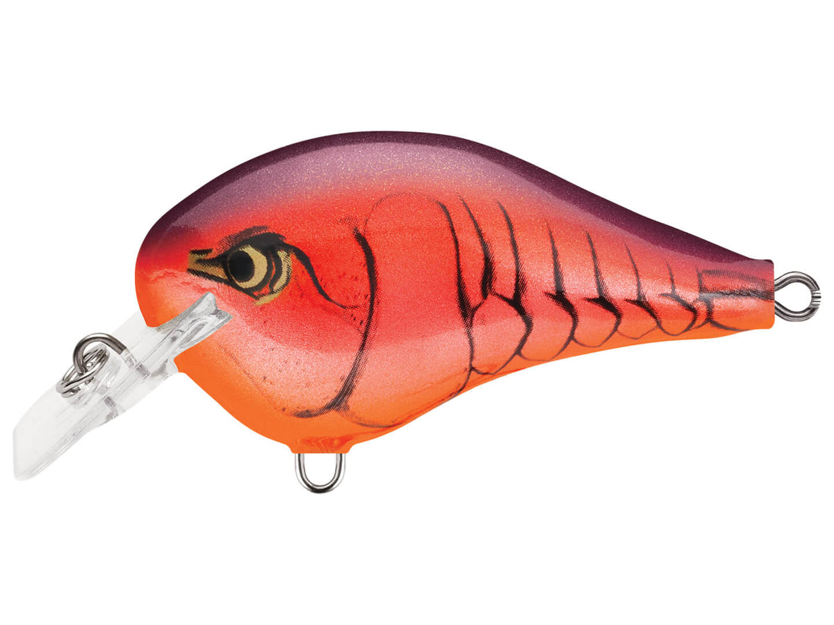 Rapala DT Fat – Harpeth River Outfitters